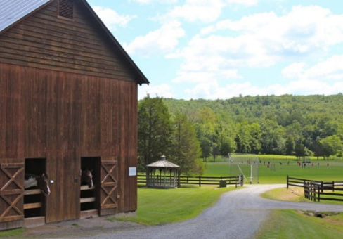 Horseback Riding | Overnight Camp for Girls | Camp Rim Rock